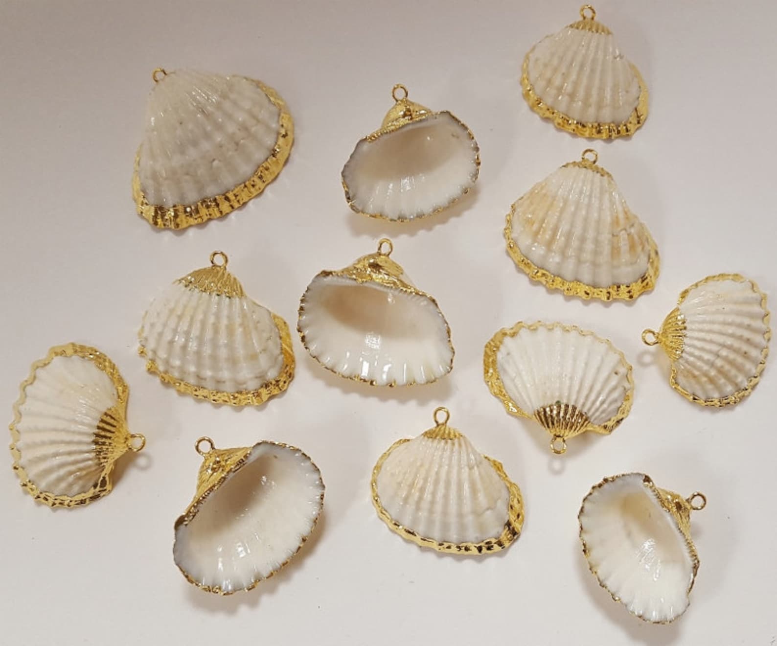 3 Vintage Genuine Cockle Shell 24K Gold Accent Assorted Bead | Etsy