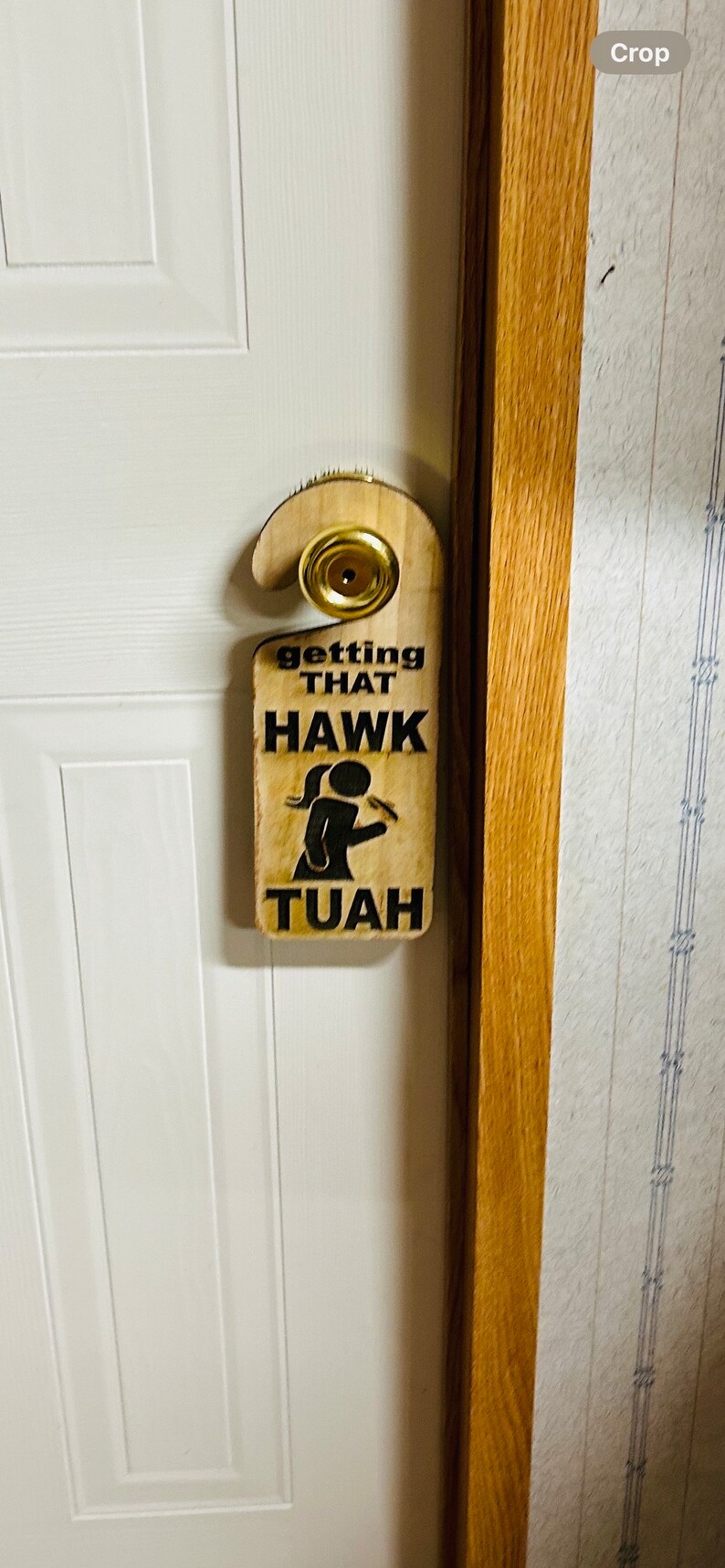 Hawk Tuah Door Sign - Etsy