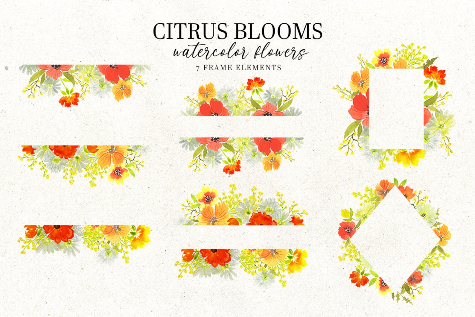 Citrus Blooms Watercolor Floral PNG Floral Borders Watercolor Flowers ...