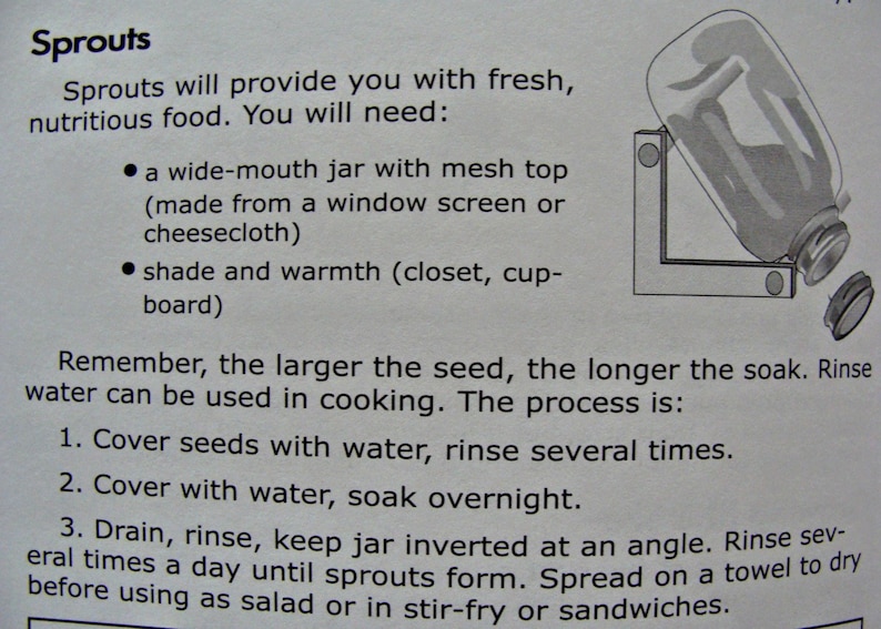 1999 / the Y2K / Survival Guide and Cookbook / Dorothy R. | Etsy