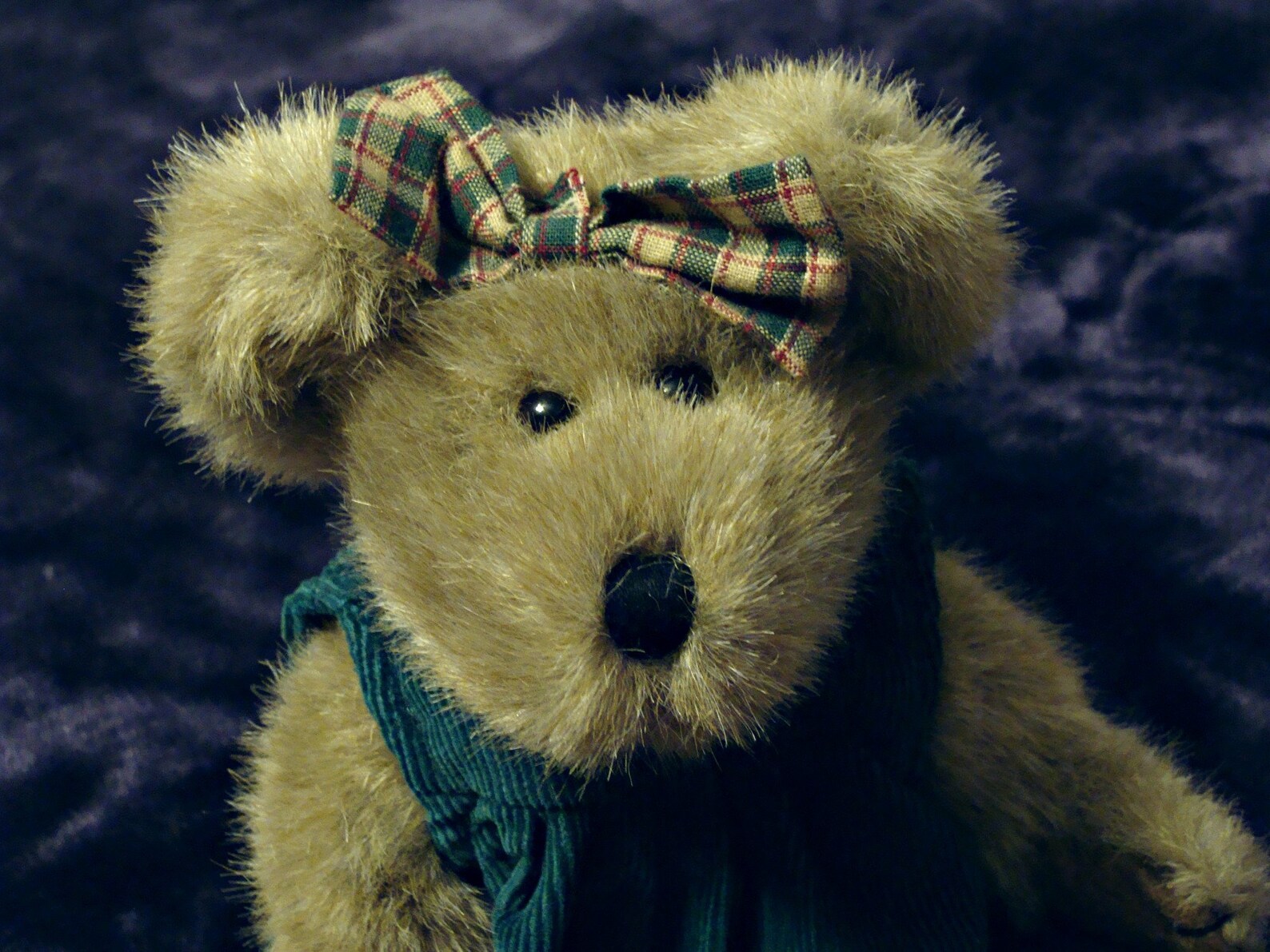 1999 / "polly Quignapple" / Boyds Bears / 20th Anniversary / 910020 ...