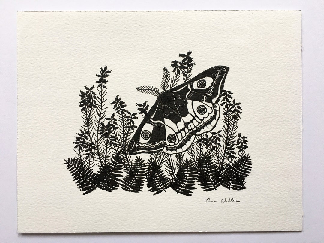 Emperor Moth Original Drawing - Etsy