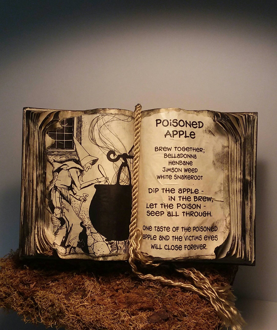 Poisoned Apple, Witch Spell Book, Halloween Party Decor, Haunted House ...