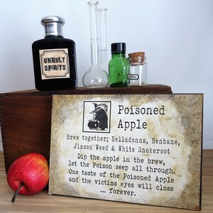 Poisoned Apple Spell, Snow White Apple Display Prop Decor, Wedding ...