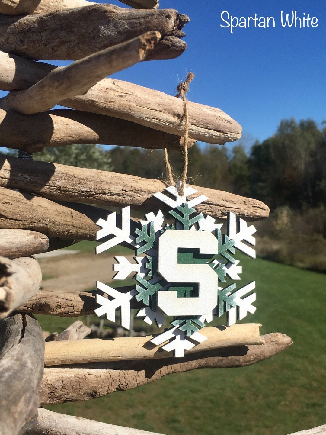 Officially Licensed Michigan State University (#8112) Spartan 'S ...