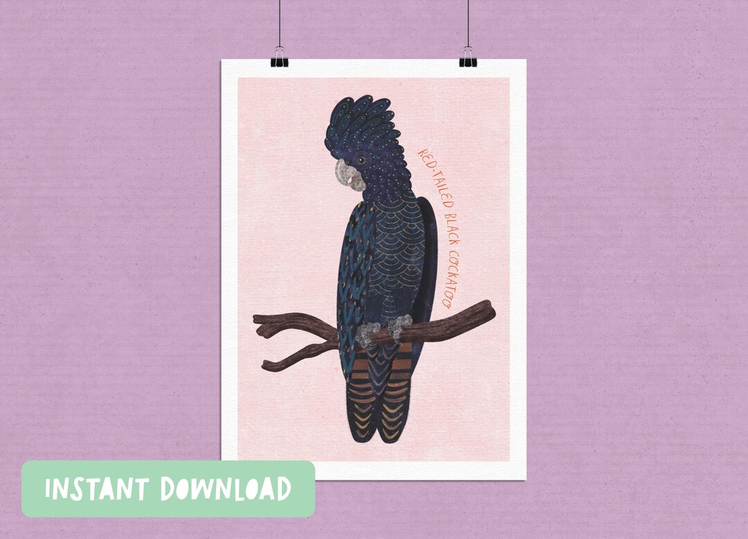 Red-tailed Black Cockatoo Digital Print / A4 A5 Pdfs Included / INSTANT ...
