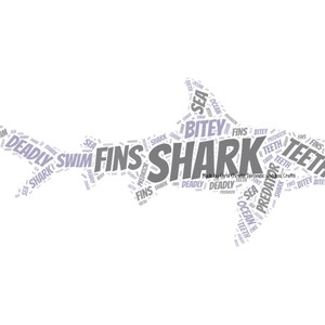 Shark Word Collage Shark Week Gift Shark Wordle Shark Word - Etsy