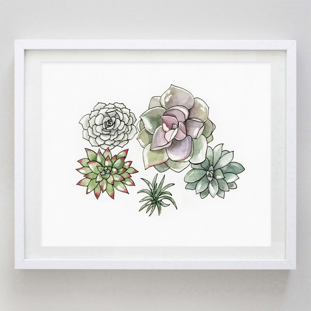 Succulents 2 Watercolor Art Print - Gardener Gift - Succulent ...