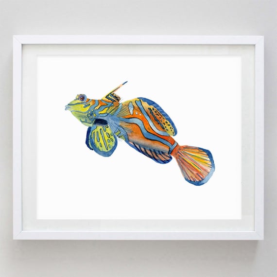 Tropical Fish Mandarin Goby Watercolor Print Sea Life Art | Etsy