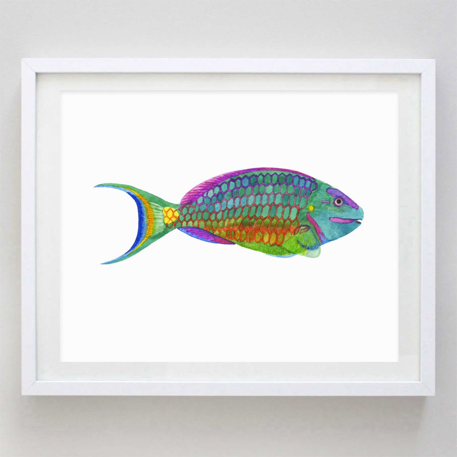Tropical Fish Mandarin Goby Watercolor Print - Sea Life Art -tropical ...