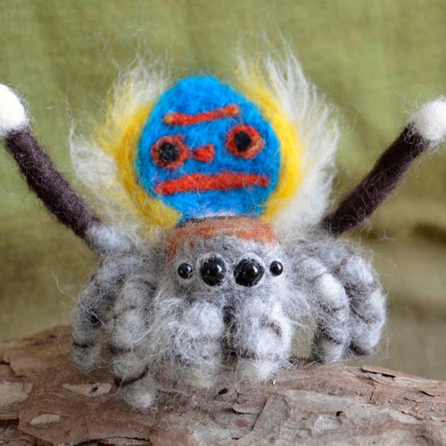 Needle Felted Peacock Spider Maratus Speciosus - Etsy