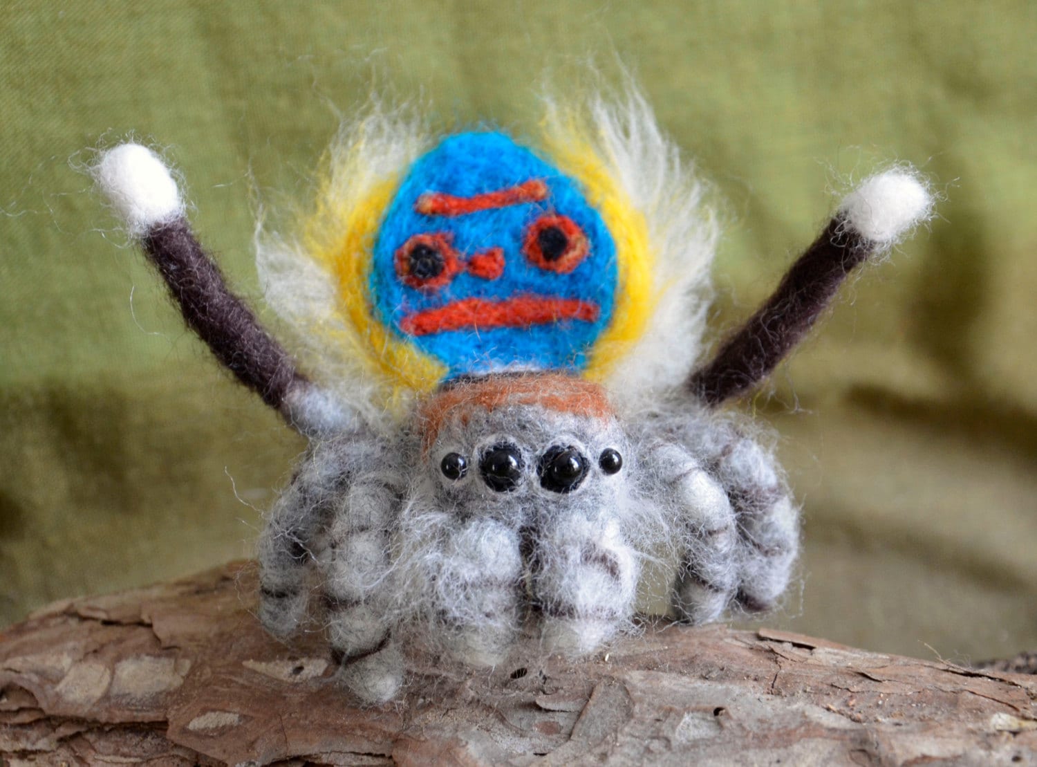 Needle Felted Peacock Spider Maratus Speciosus - Etsy