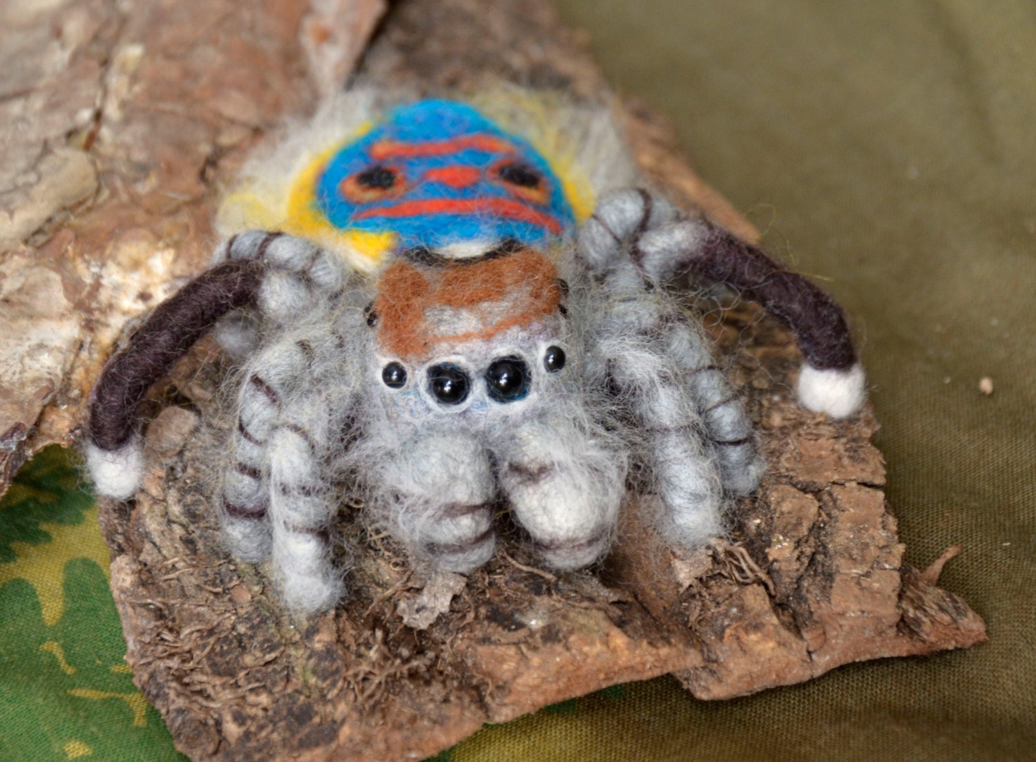 Needle felted peacock spider Maratus speciosus | Etsy