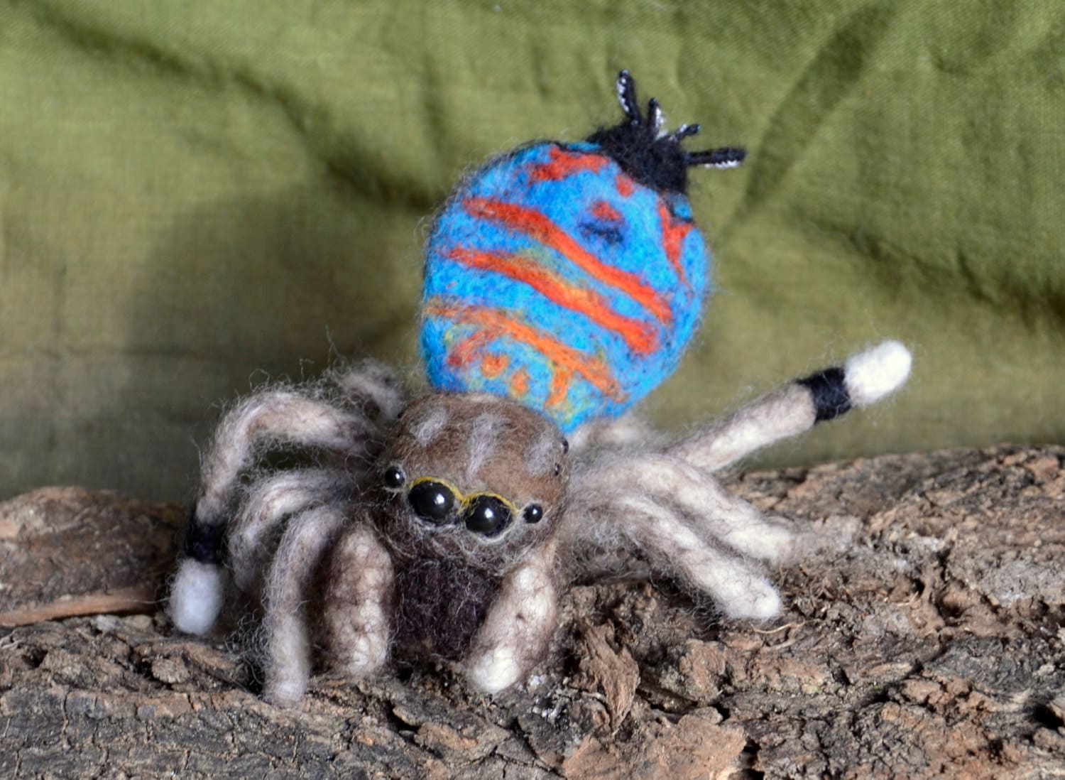Needle Felted Peacock Spider Sparklemuffin Maratus - Etsy