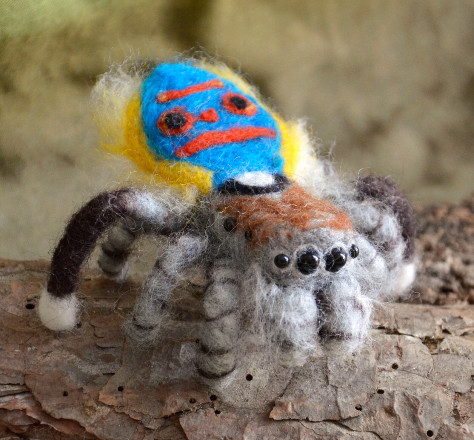 Needle Felted Peacock Spider Maratus Speciosus - Etsy