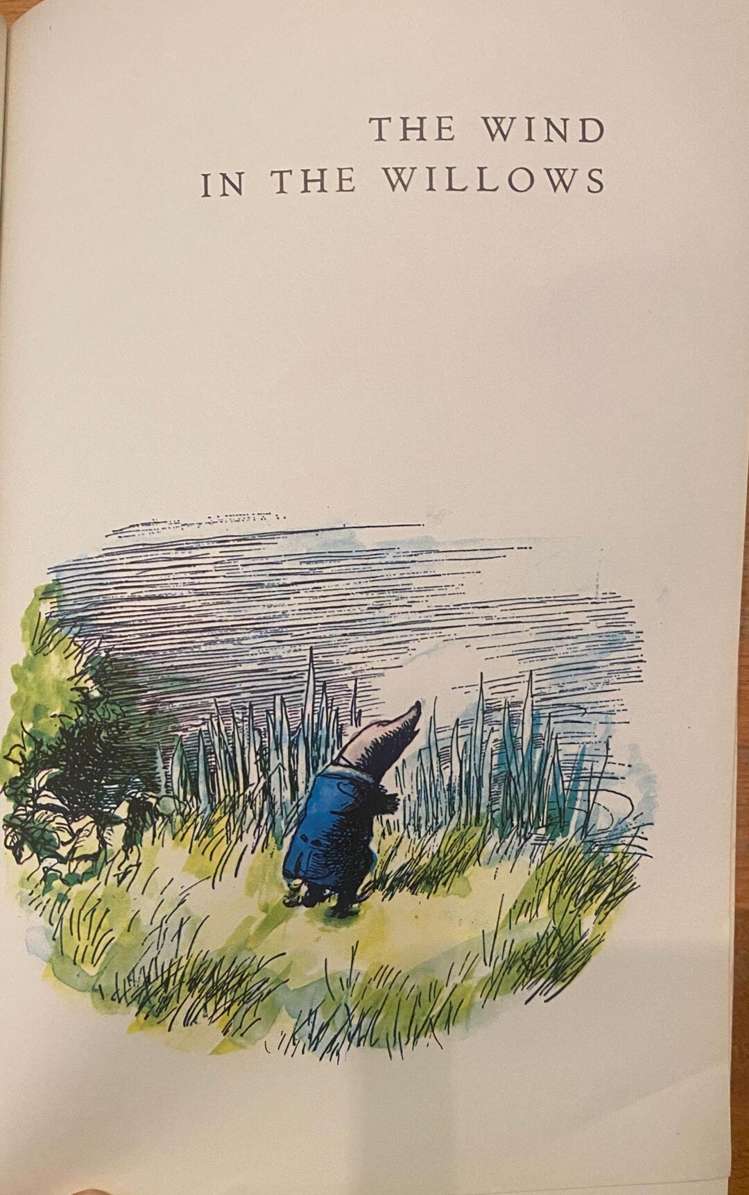 Vintage Children's Book ~ the Wind in the Willows ~ Kenneth Grahame ...