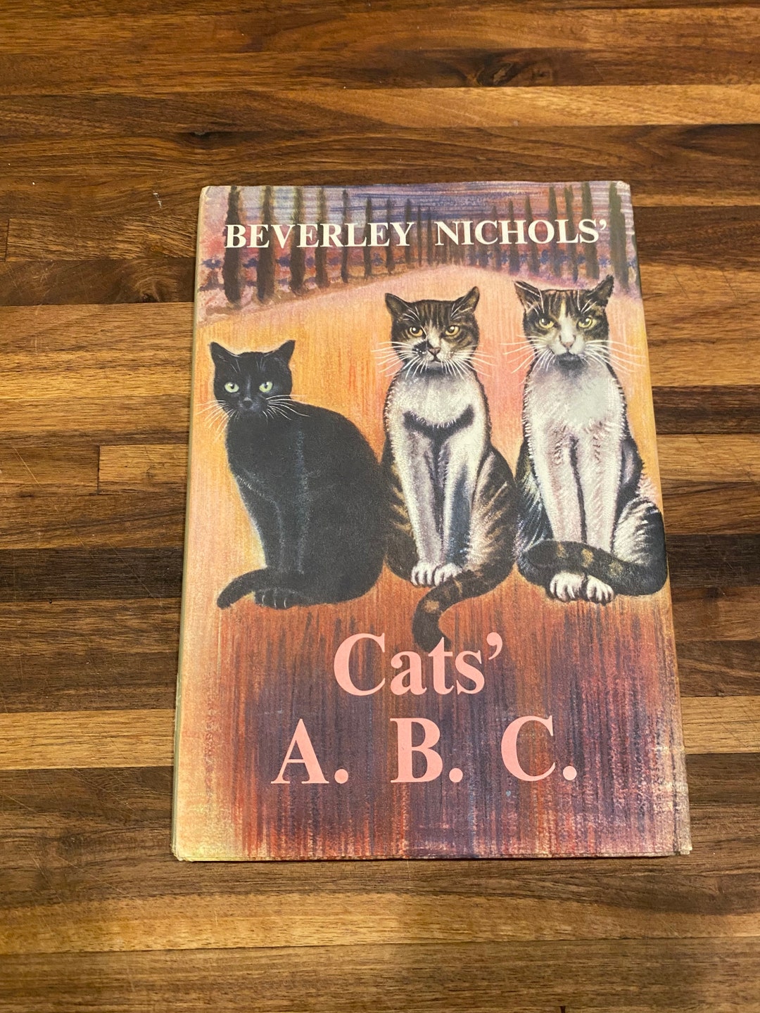 Rare Vintage Children's Book ~ Beverley Nichols' ~ CATS' A.B.C ...