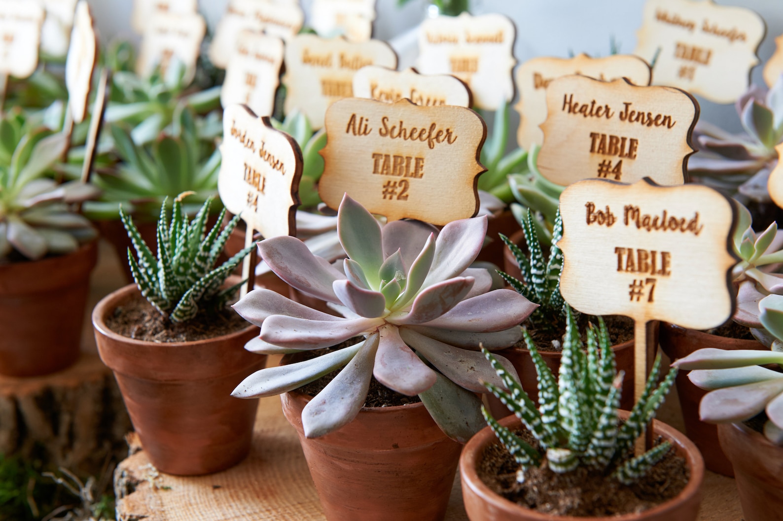 Custom Wood Wedding Table Place Markers Seat Assignment Minimum of 10 ...