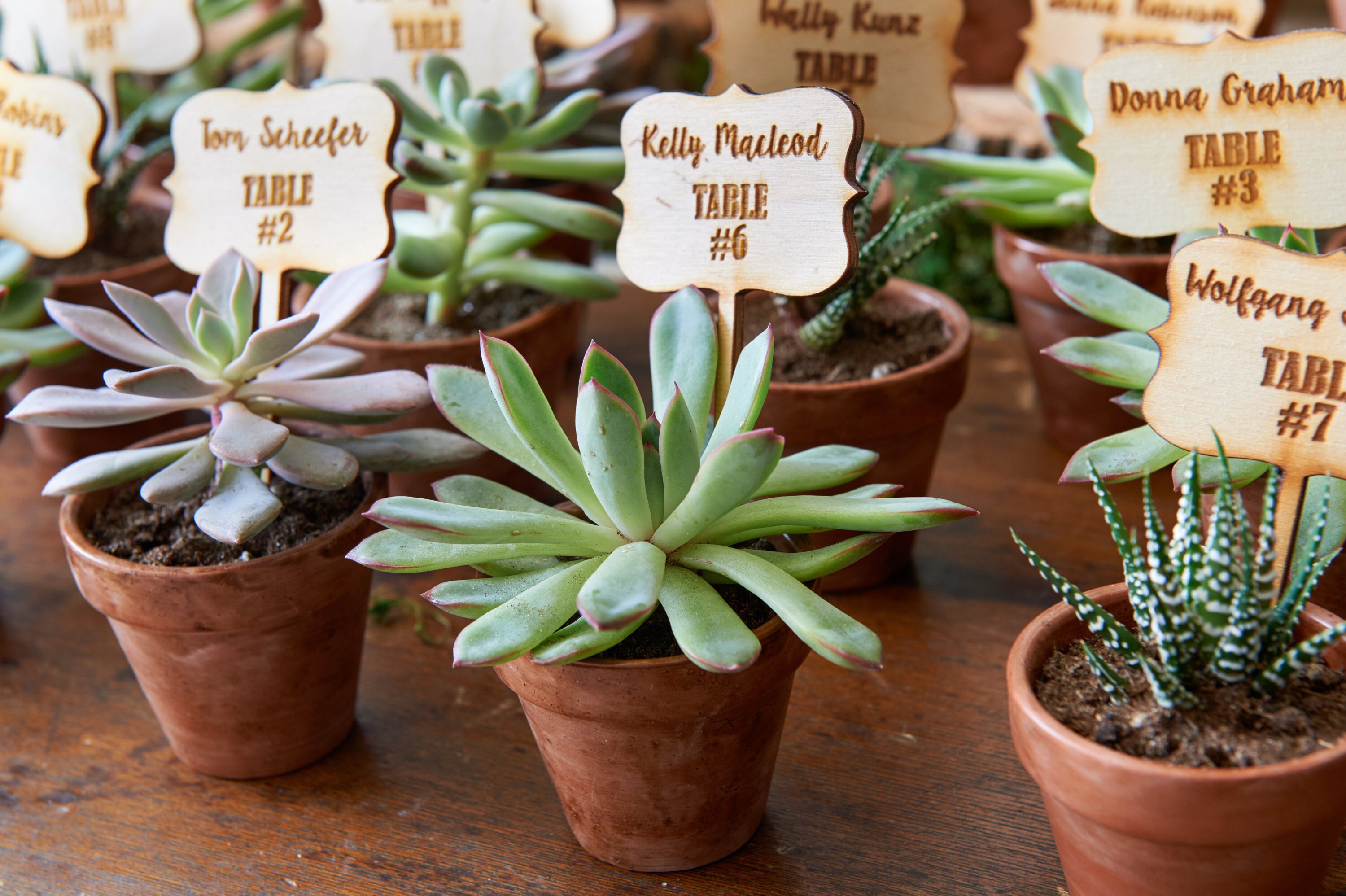 Custom Wood Wedding Table Place Markers Seat Assignment Minimum of 10 ...