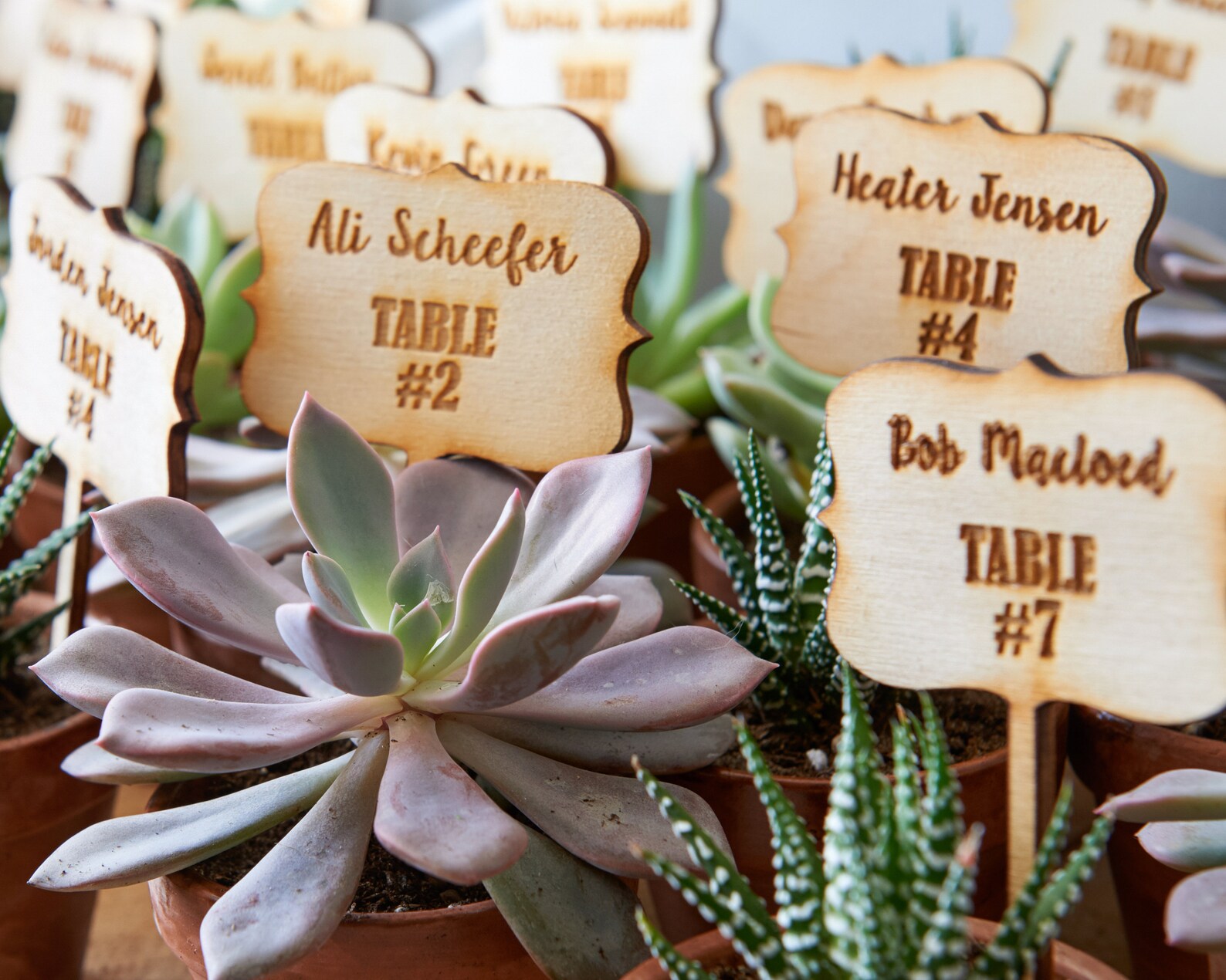 Custom Wood Wedding Table Place Markers Seat Assignment Minimum of 10 ...