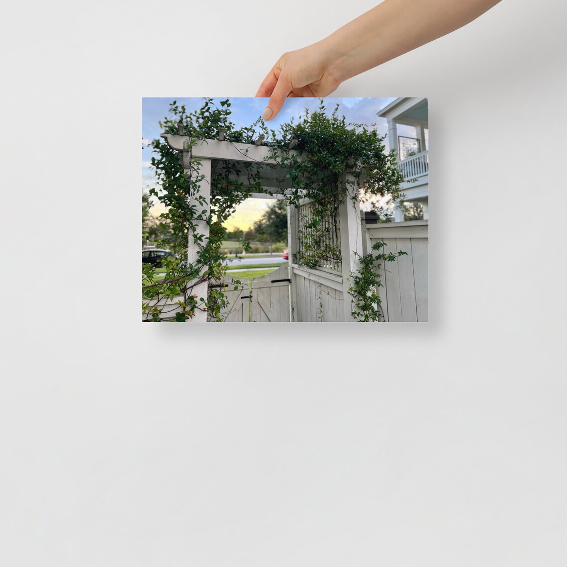Charleston Summerville Vine Gate Photo Poster - Etsy