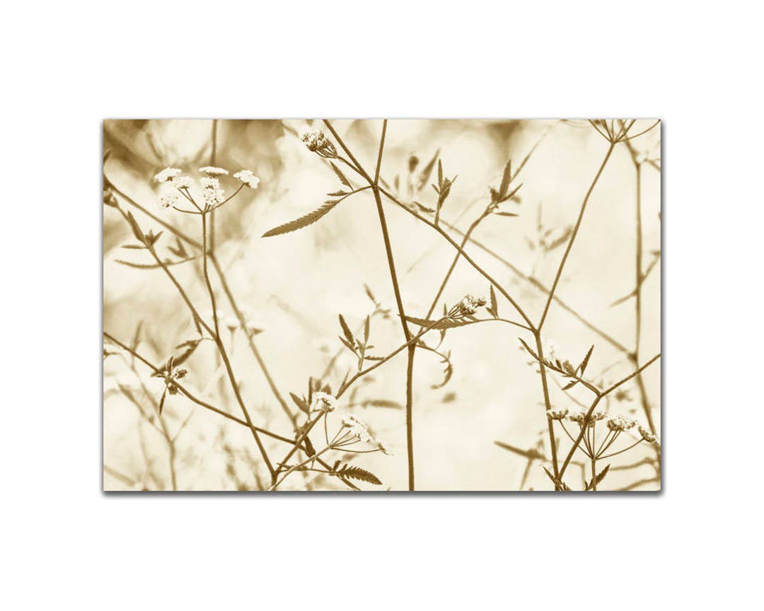 Botanical Zen Art Print Photograph Sepia Tones Art Print Wall Art Sumi ...