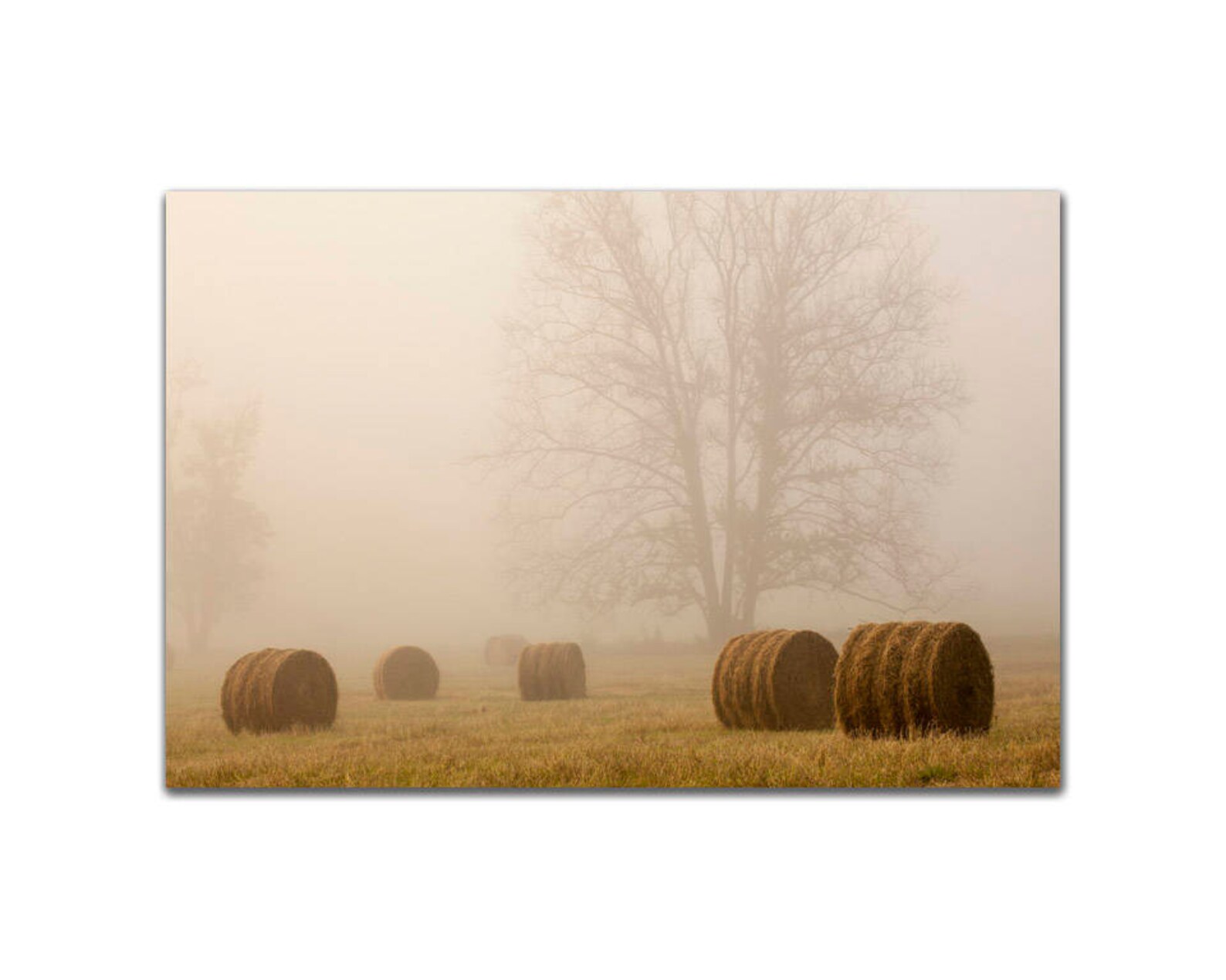 Hay Bales in the Fog Fine Art Print Photograph Orange & Brown Tones ...