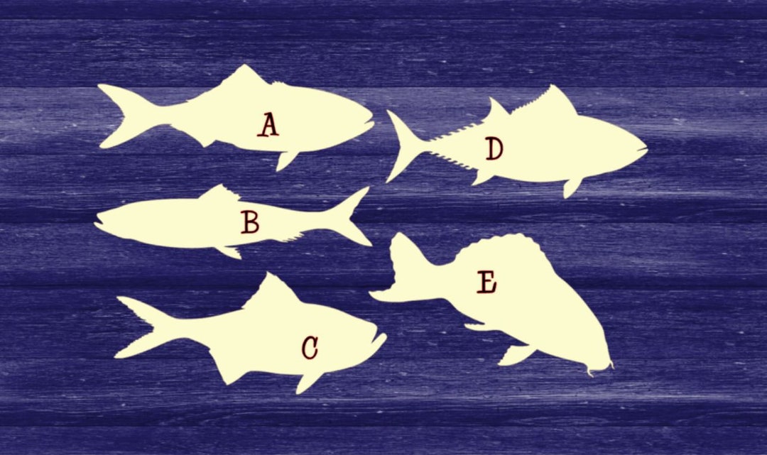 Laser Cut Unfinished DIY Fish Blanks Unfinished Wood Fish Cut - Etsy