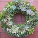 Succulent Wreath Live 13 Inch Diameter - Etsy