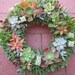 Succulent Wreath Live 13 Inch Diameter - Etsy