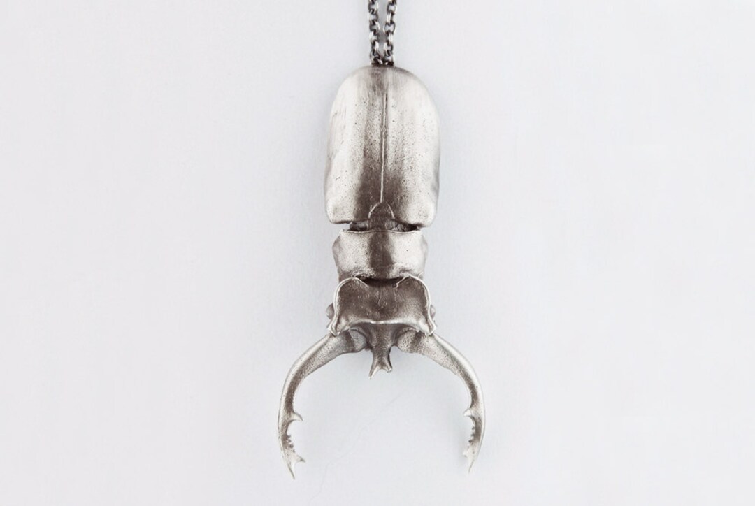 Sterling Silver Insect Necklace - Etsy