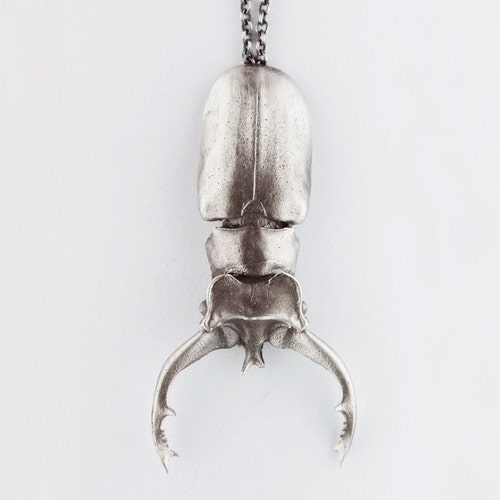 Sterling Silver Insect Necklace - Etsy