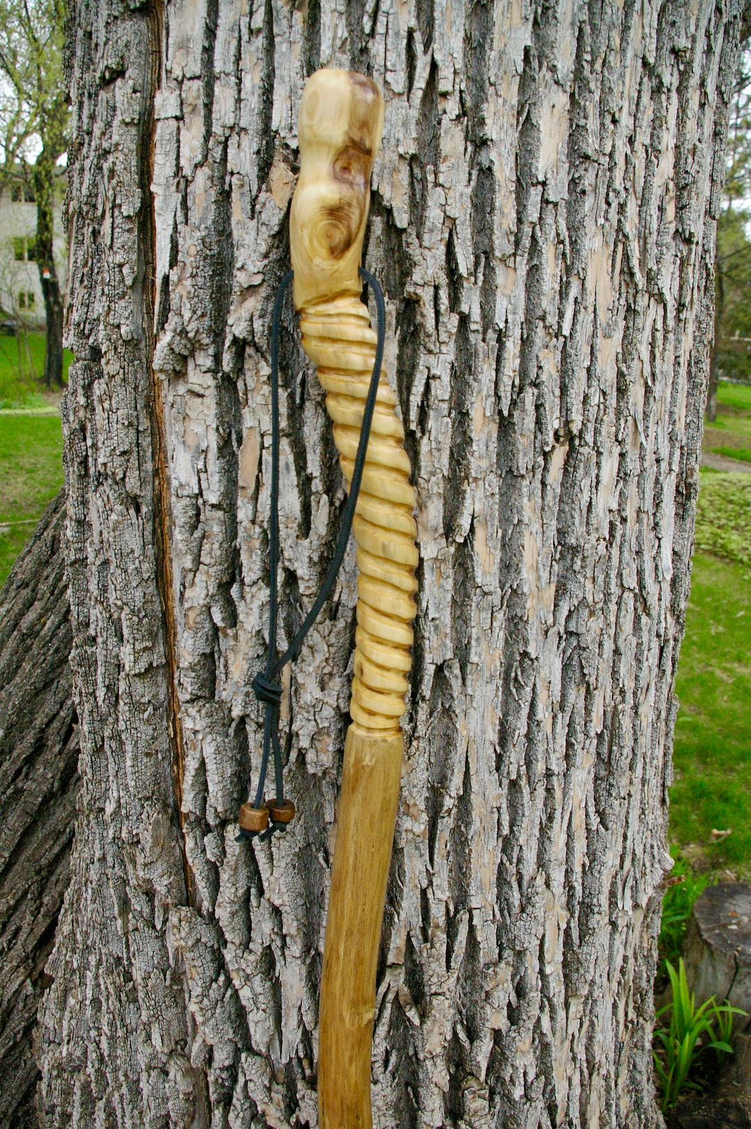 Ash Walking Stick light-weight - Etsy