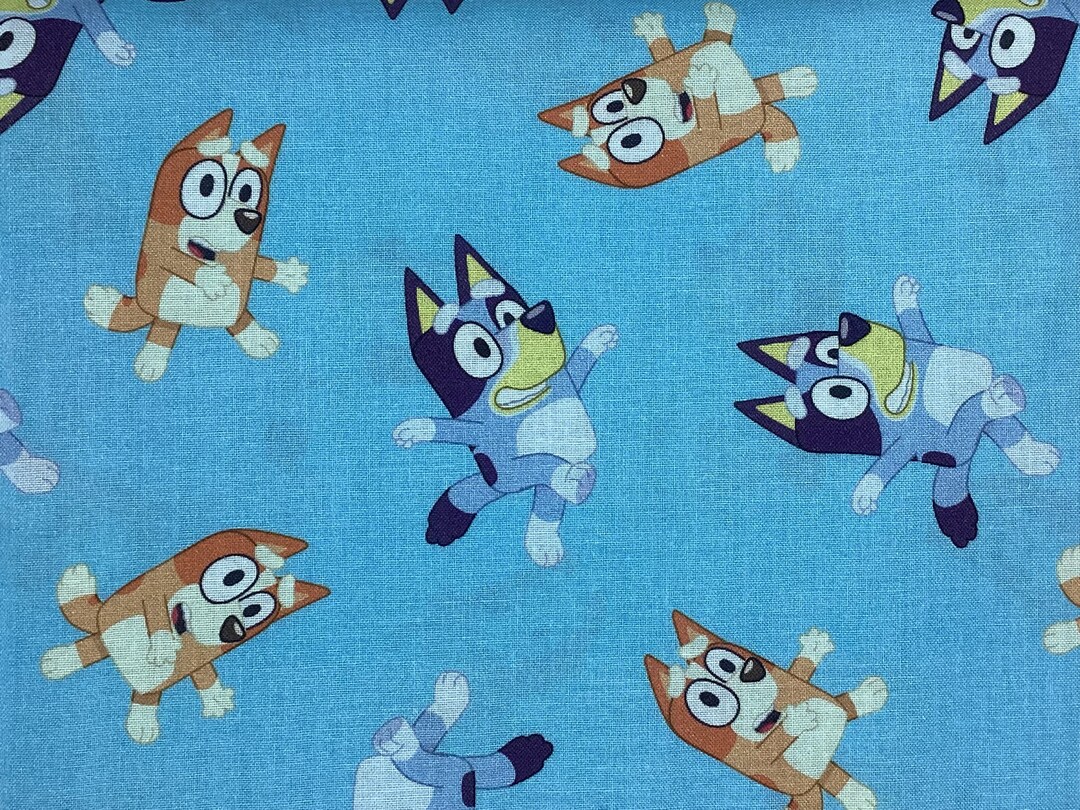 Wetbag, Bluey, Bingo, Diaper Bag, Pool Bag, Gym Bag, Laundry Bag, Cloth ...