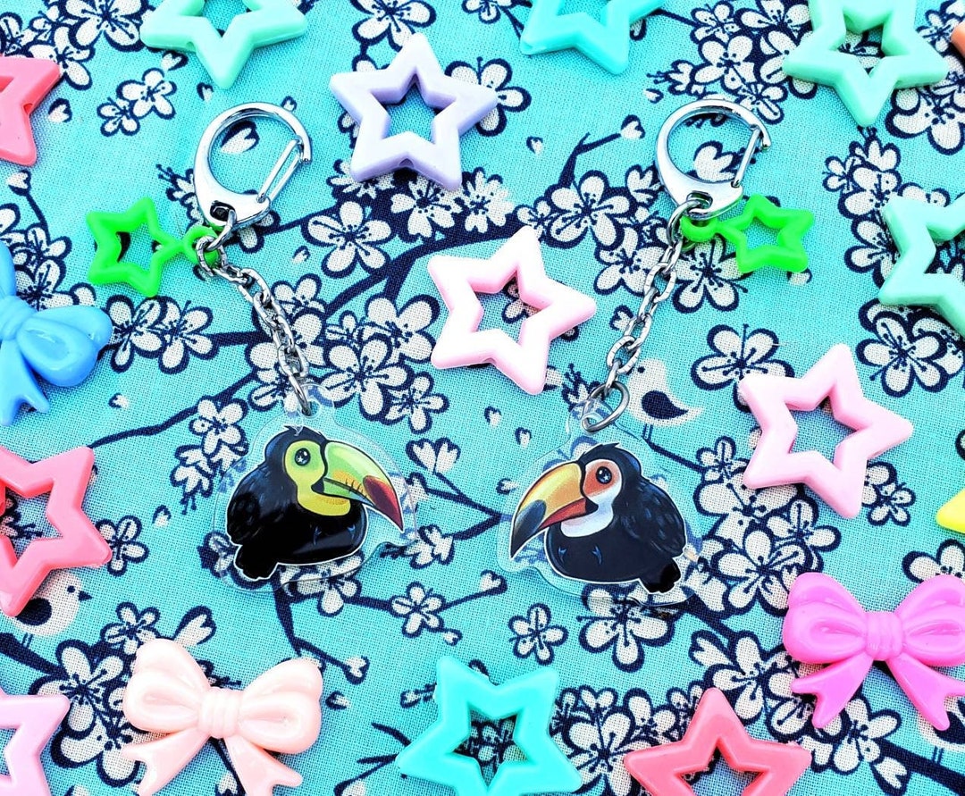 Toucan Keychain, Tropical Bird DOUBLE SIDED 1.25 Acrylic Keychain, Cute ...