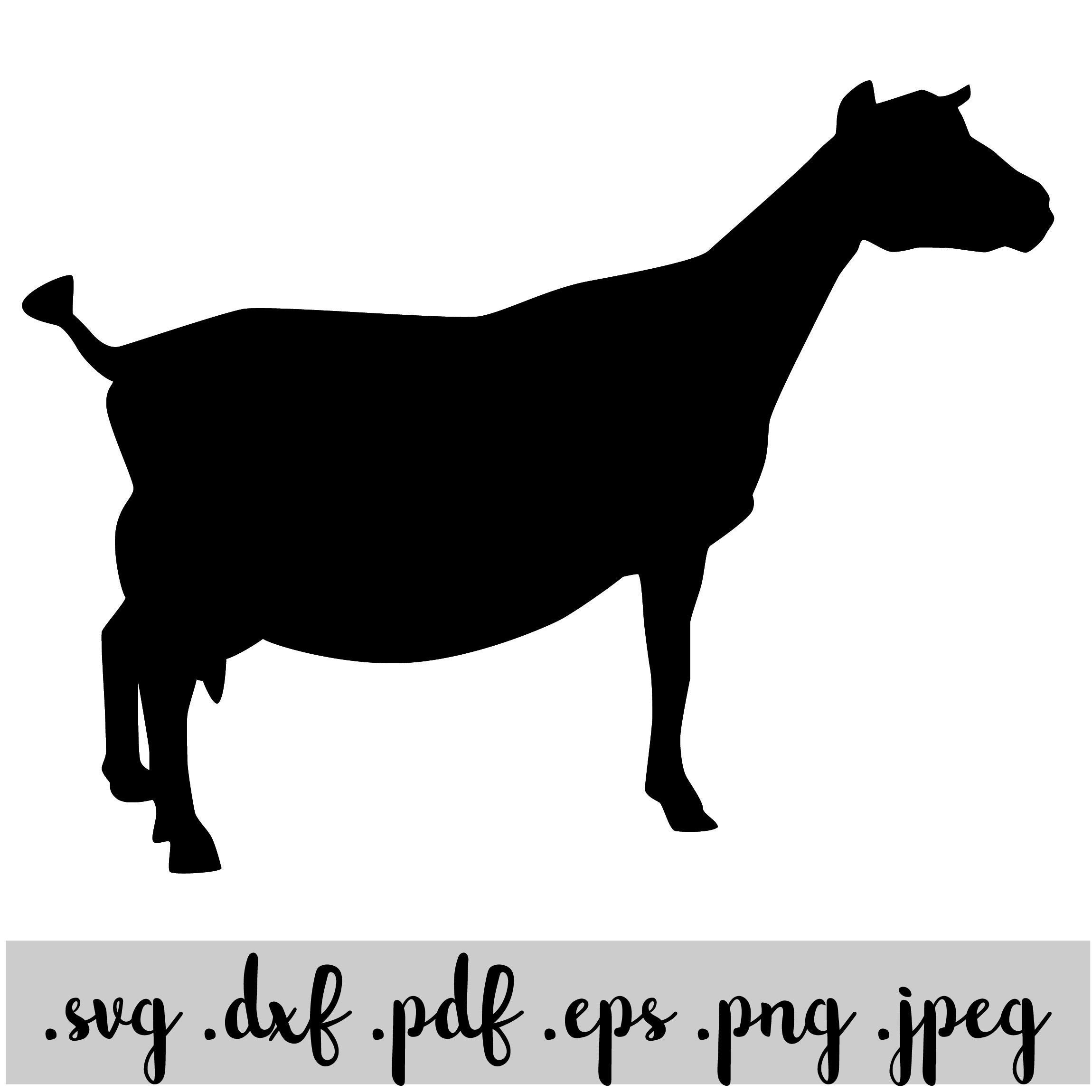 Nigerian Dwarf Goat SVG Instant Download | Etsy Ireland