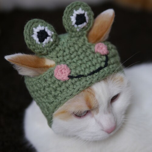 Apple Hat for Cat Halloween Apple Pet Costume Kitten Outfit | Etsy