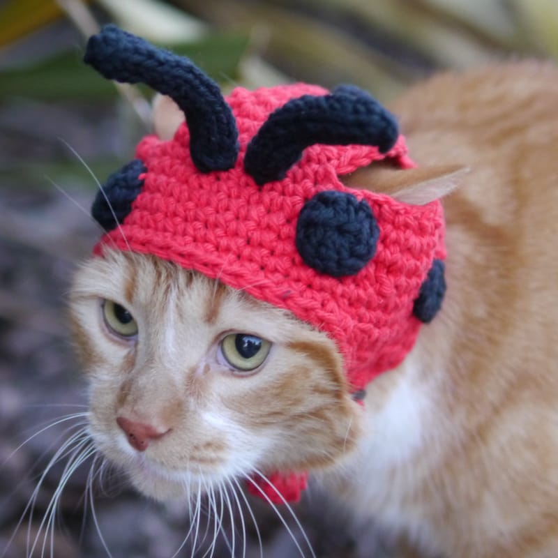Ladybug Hat - Etsy