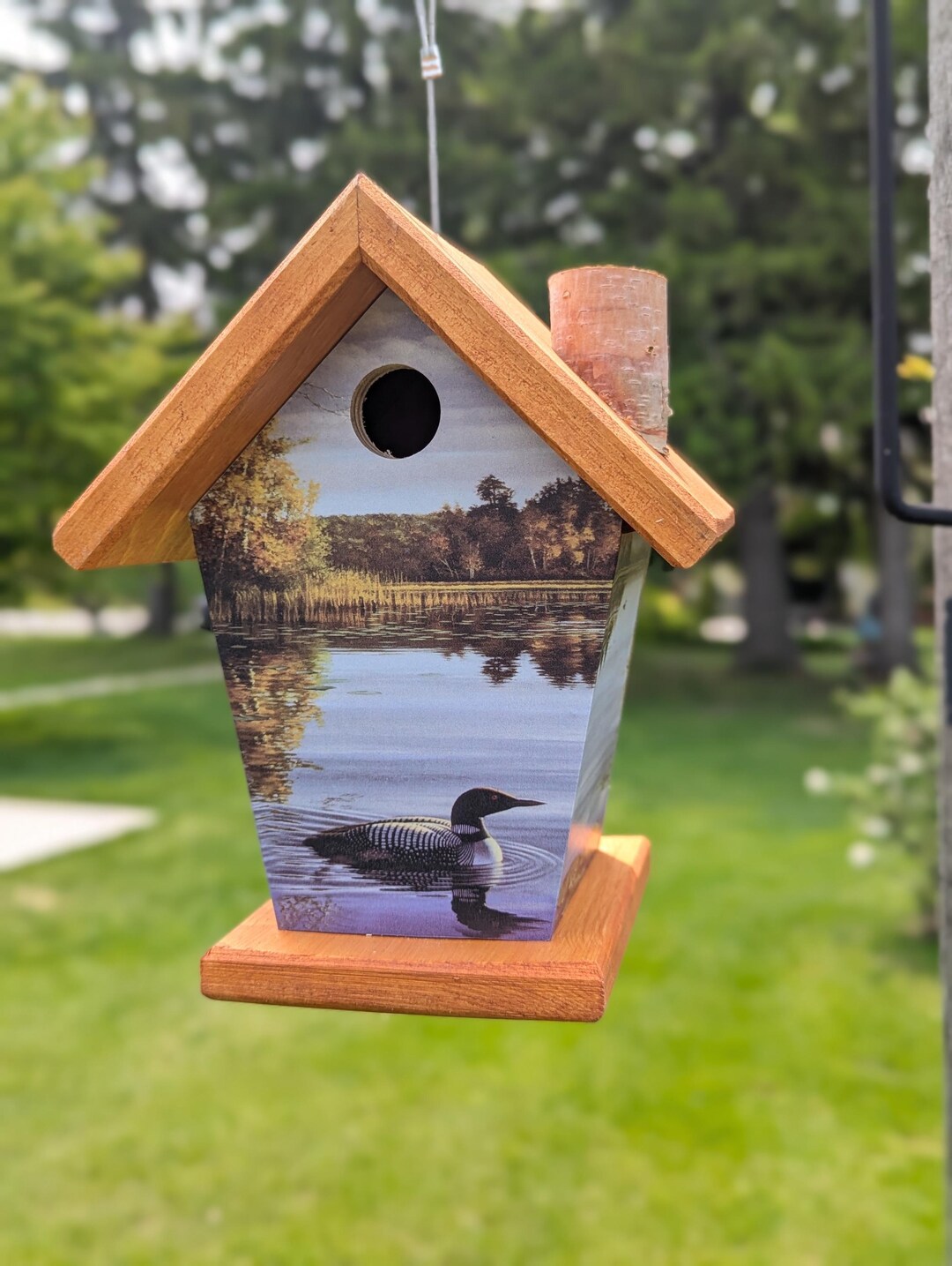 Loon on the Lake Birdhouse Wrapped Four Sides - Etsy