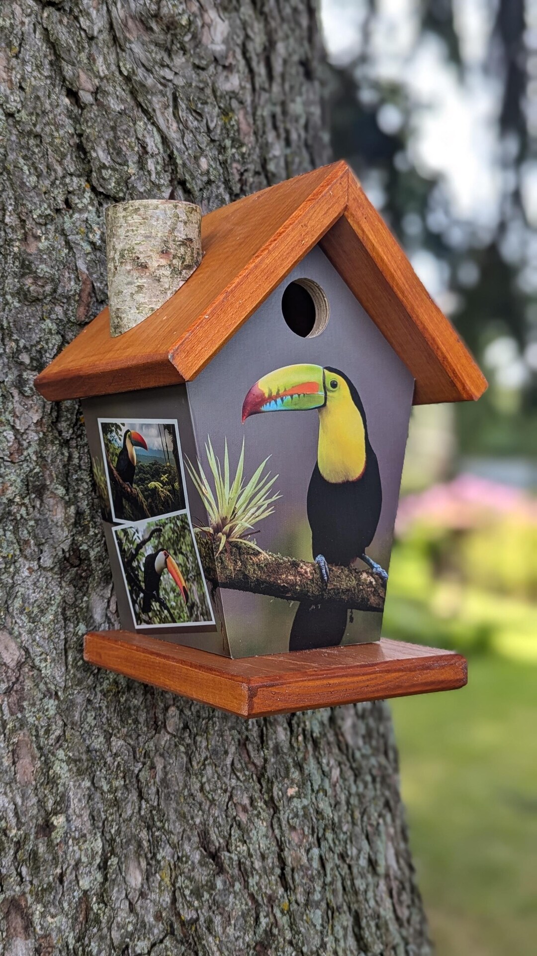 Toucan Birdhouse - Etsy