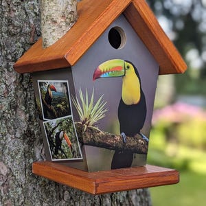 Toucan Birdhouse - Etsy