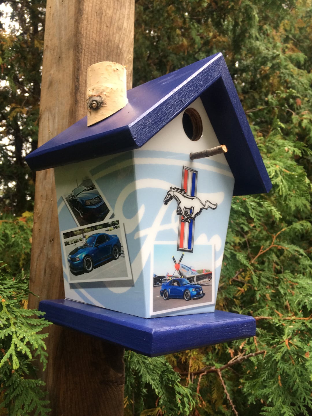 Handmade Mustang Birdhouse, Ford Car Lover Gift - Etsy