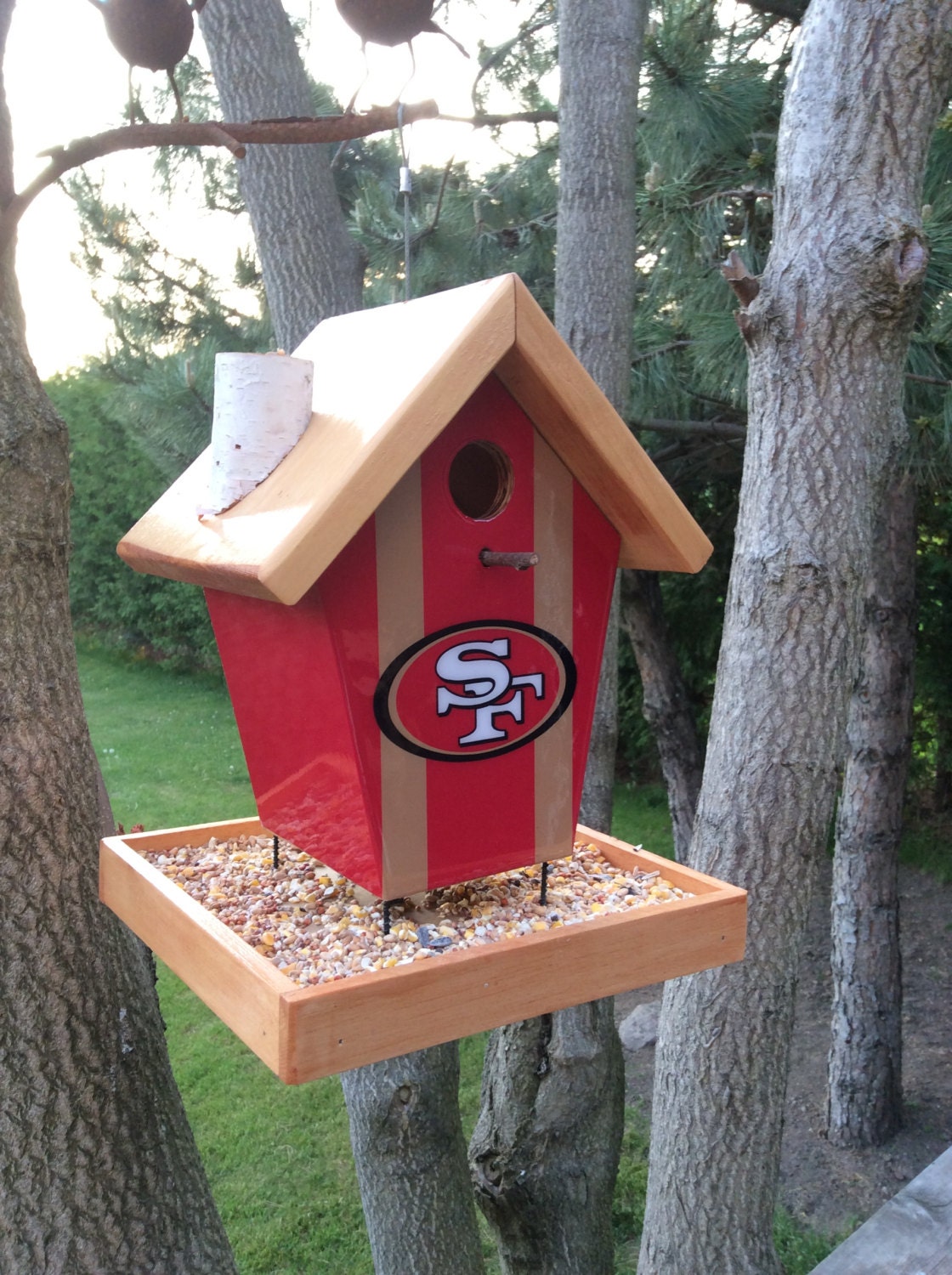 San Francisco 49ers Bird Feeder - Etsy Canada