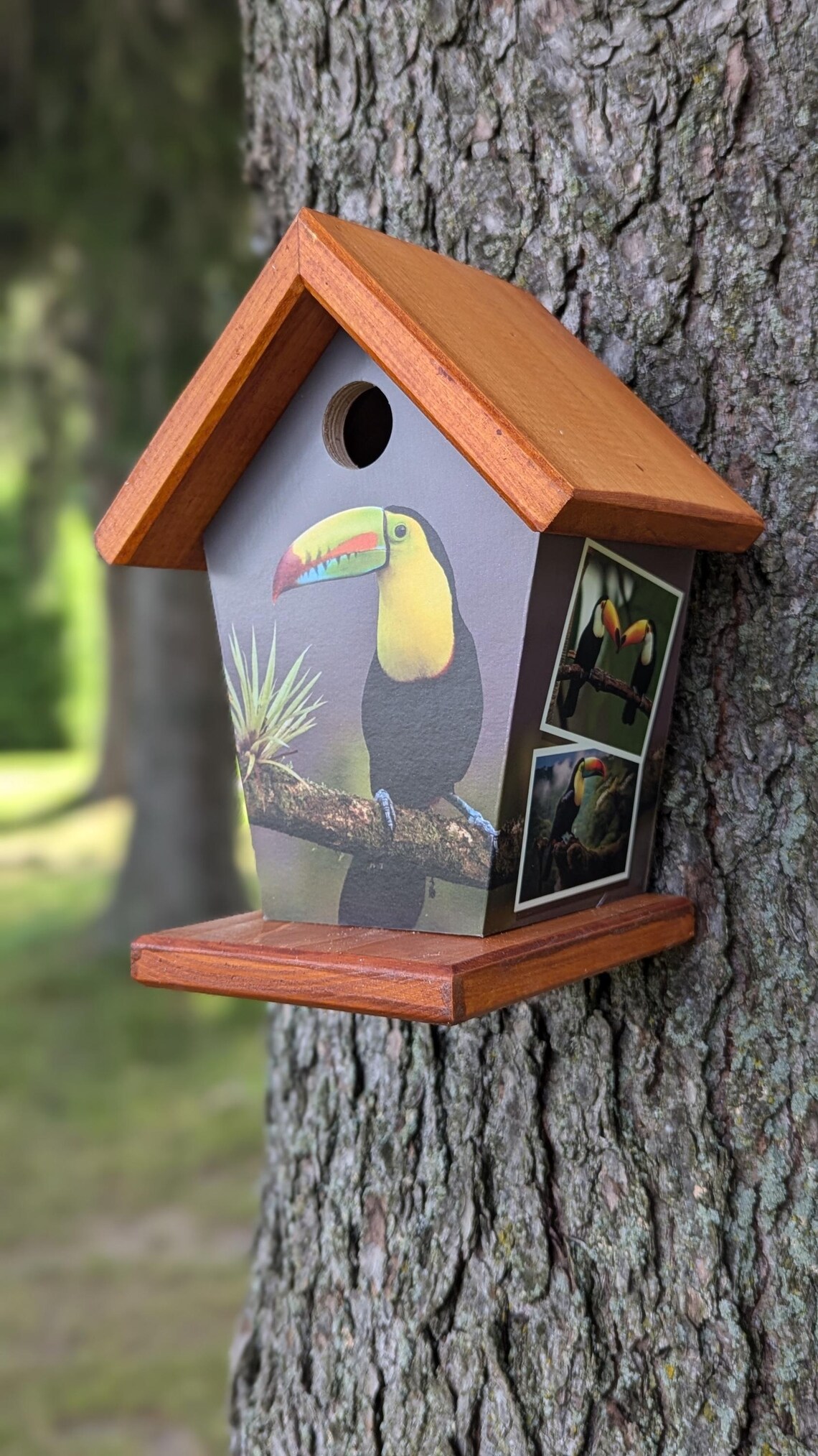 Toucan Birdhouse - Etsy