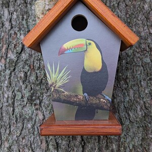 Toucan Birdhouse - Etsy