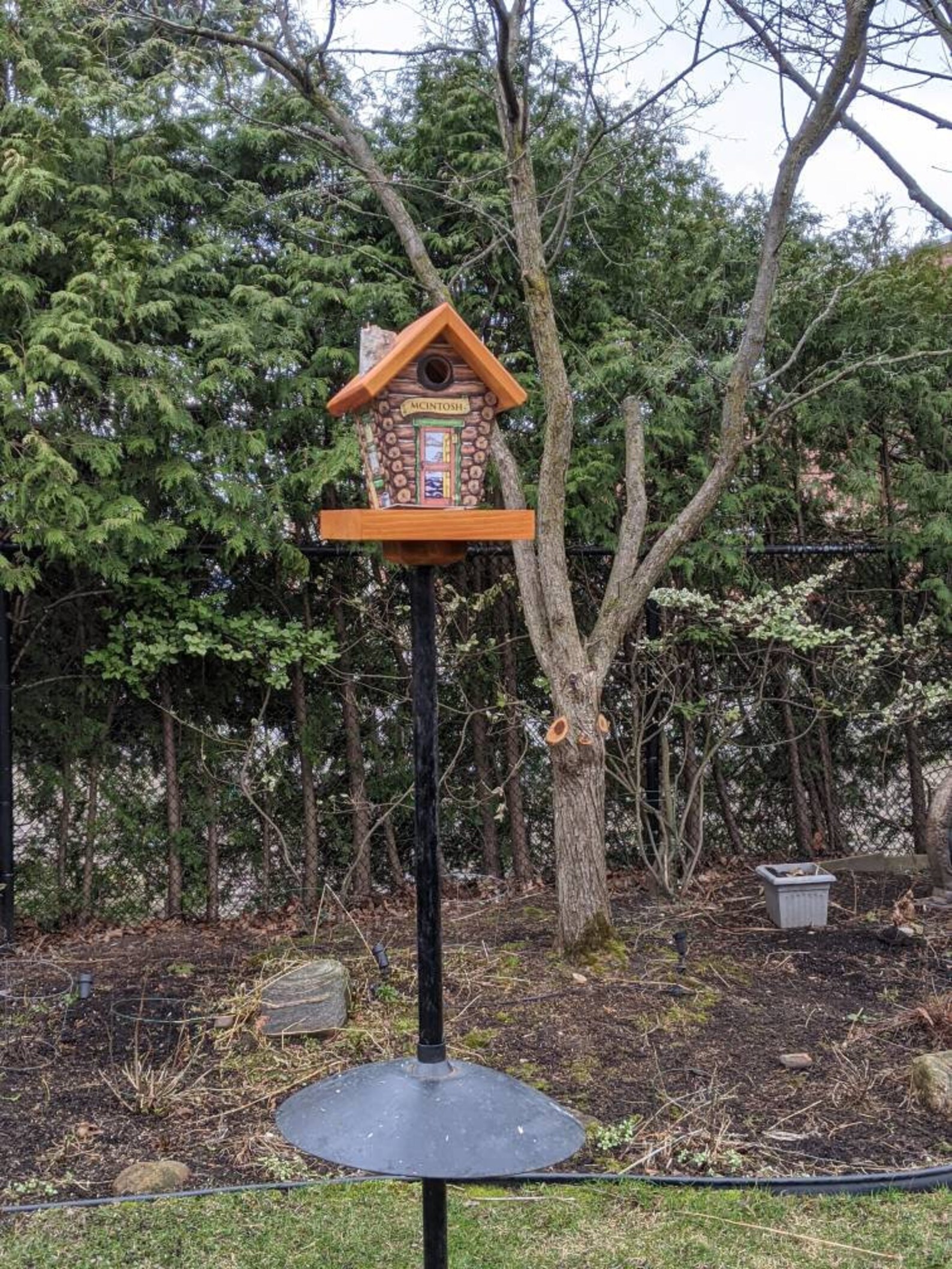 Personalized Log Home Bird Feeder - Etsy