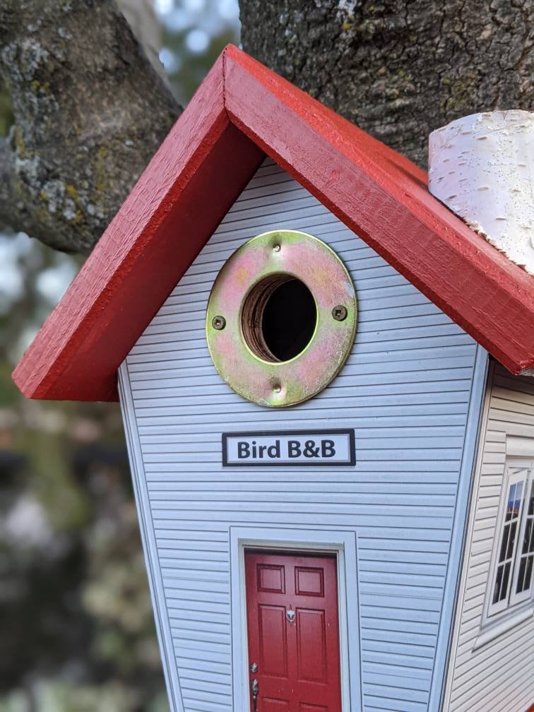 Bird B&B Birdhouse - Etsy