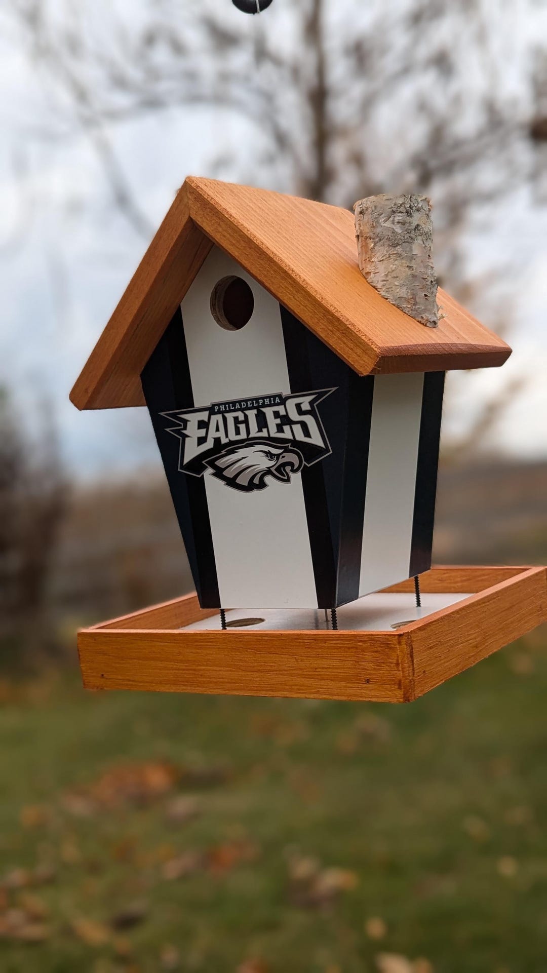 Philadelphia Eagles Bird Feeder - Etsy
