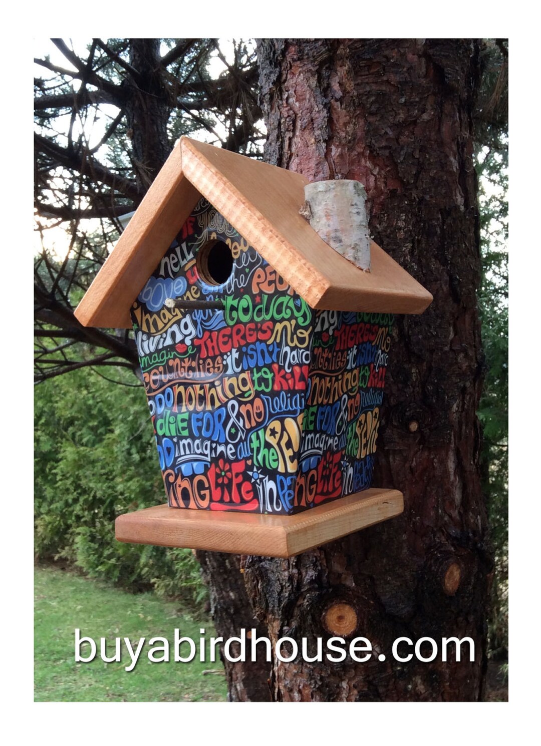 Imagine Birdhouse - Etsy
