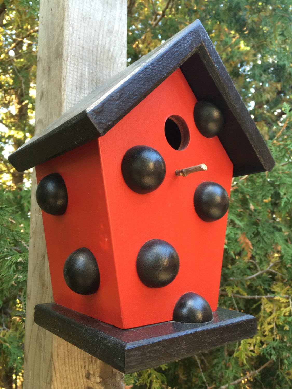 Ladybug Birdhouse | Etsy
